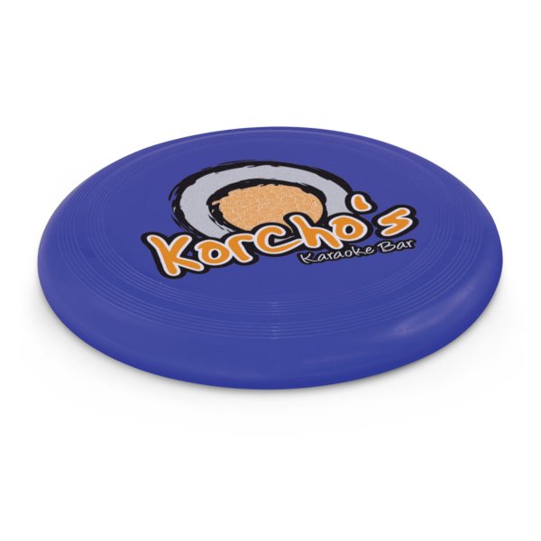 Large Frisbee Custom Branded | Bar Beach Expo Recreation Summer Tour ...