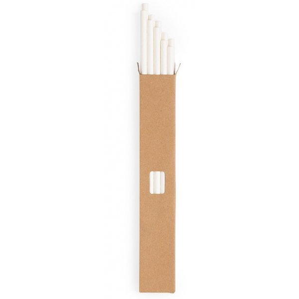 Custom Logo Printed Paper Straws | Summer Surf Themepark Tour Travel ...